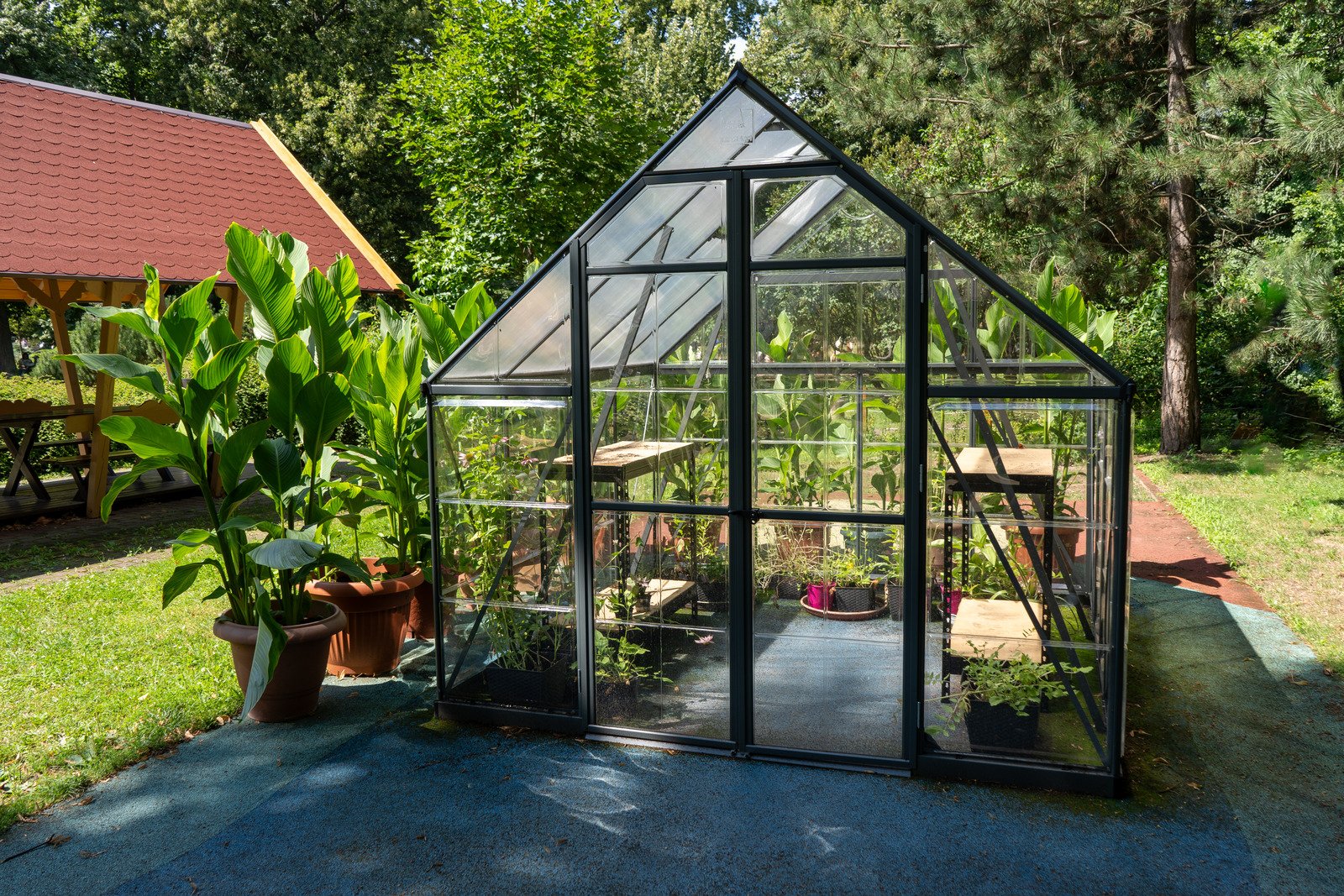 How to Create a Greenhouse Garden Room for Plant Lovers - Hamilton ...